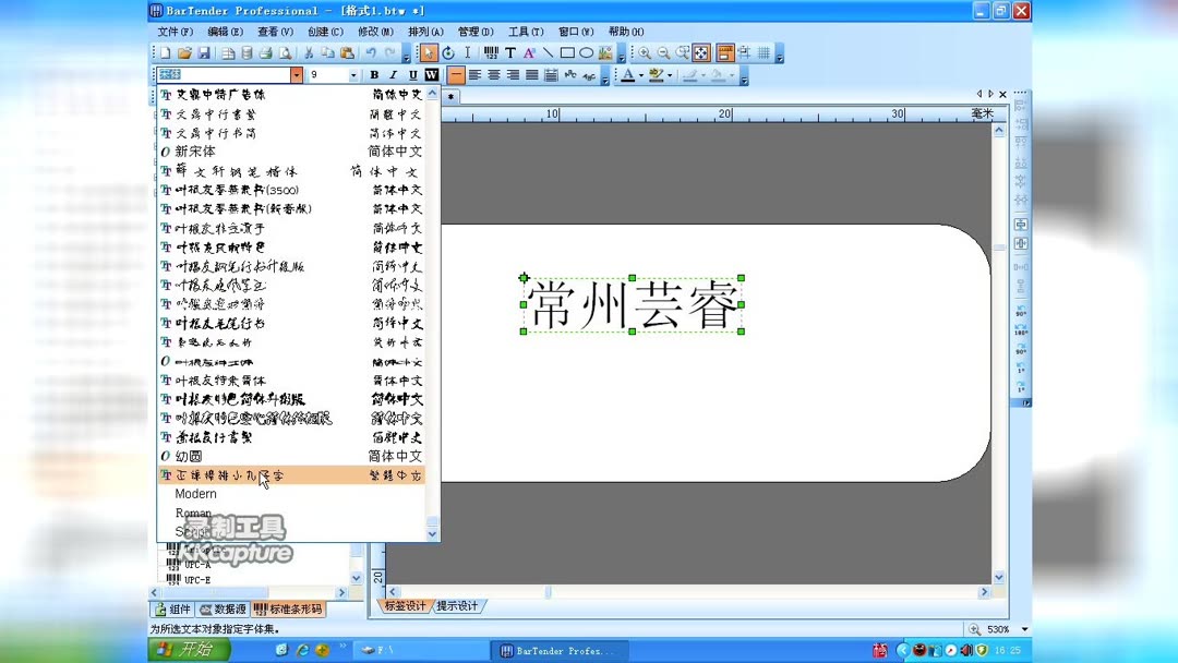 Bar Tender软件使用方法.avi