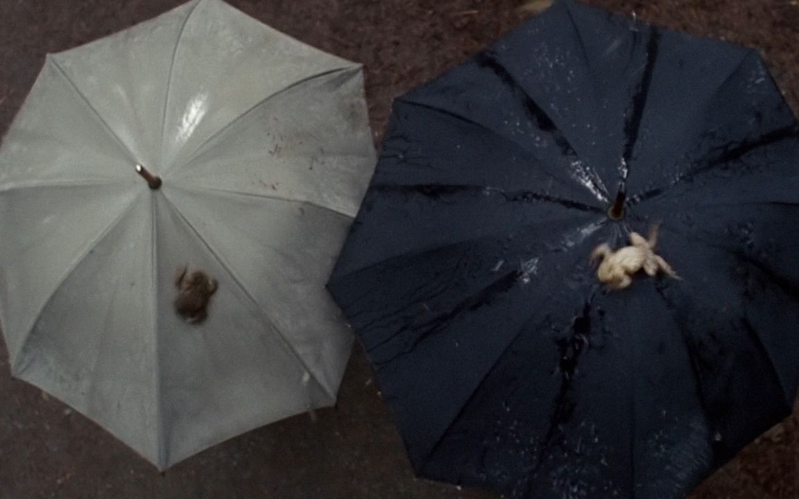 《X档案》天上无故下起蛤蟆雨,原来是有人召唤出了可怕的东西