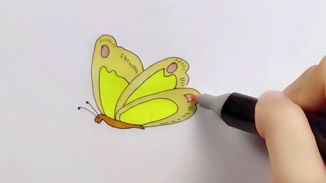 怎么画蝴蝶?绘画达人教你画蝴蝶简笔画,画法简单,成品逼真