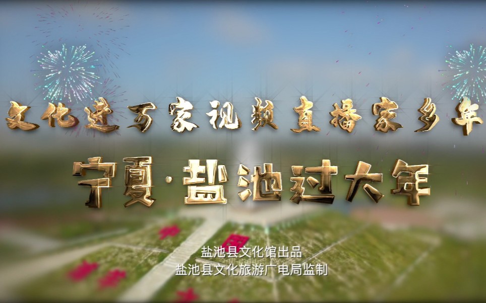 2022年“文化进万家-视频直播家乡年”宁夏《盐池过大年》