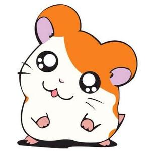 弘知君 
