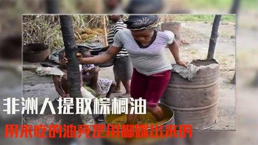 非洲人提取使用棕榈油,用脚一点一点踩出来的,看完瞬间不想吃饭