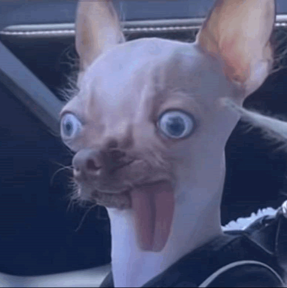 妇科圣手梁大夫 