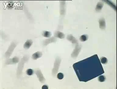 布朗运动产生的原因模拟实验