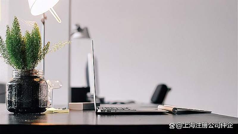 合伙企业和有限责任公司的区别是什么?