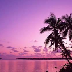 数学小升初微课堂 