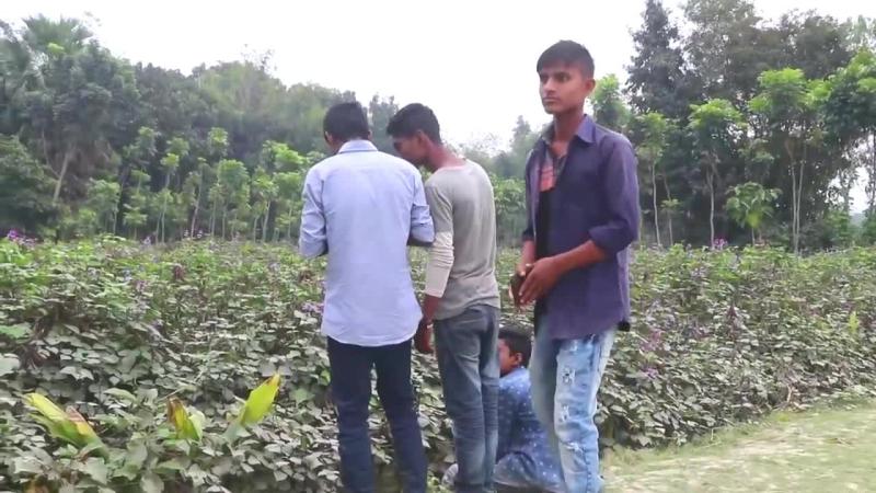 乡村搞笑:男子偷取别人财务,没想到竟被人发现!