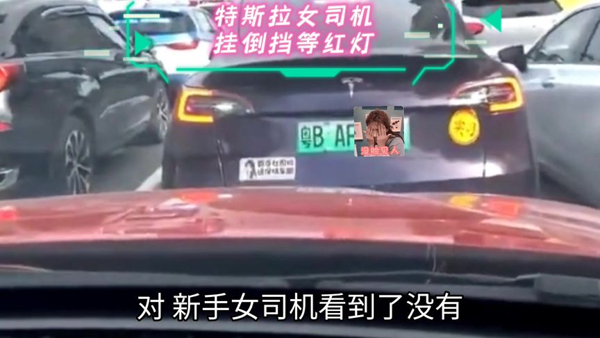 实习司机挂倒挡等红绿灯,后车乘客成功预知事故#出行#交通