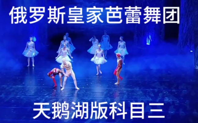 俄罗斯皇家芭蕾舞团演绎“天鹅湖版科目三”!