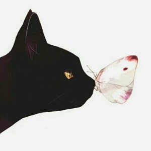 上丁兄 