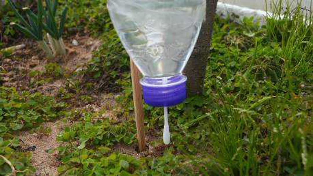 一个塑料瓶一根棉签,教你做自动浇花器,再不担心花草没人浇水了