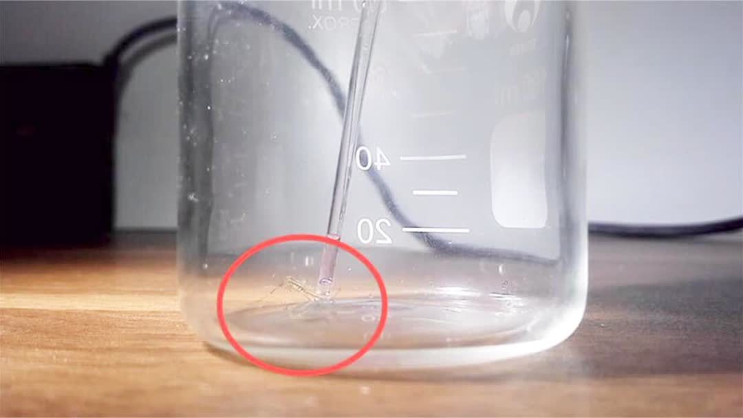 让蚊子吸一口氨气会怎样?老外实验,结果没几秒就凉了!