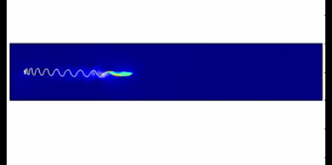 comsol流固耦合动网格