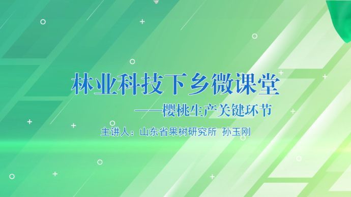 林业科技下乡微课堂|樱桃生产关键环节