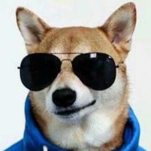 学生党灰狼游戏解说 