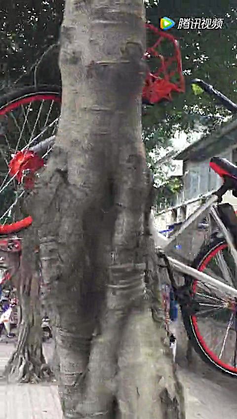 眉山出台《管理办法》共享单车停放不再“任性”!