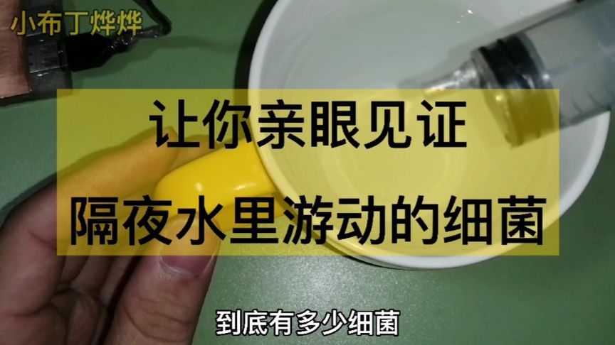 隔夜水能喝吗?不用光学显微镜也能看见水中的细菌,效果很震撼!