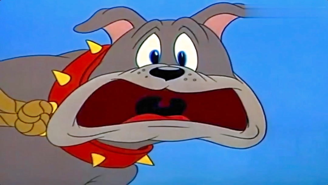 猫和老鼠:汤姆如此欺负狗狗,狗狗复仇将汤姆的“衣服”拽下!