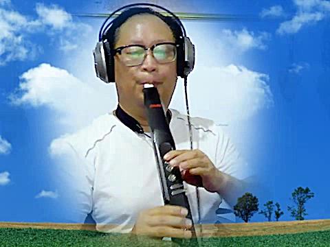 电吹管《让我们荡起双桨》演奏.凡尘