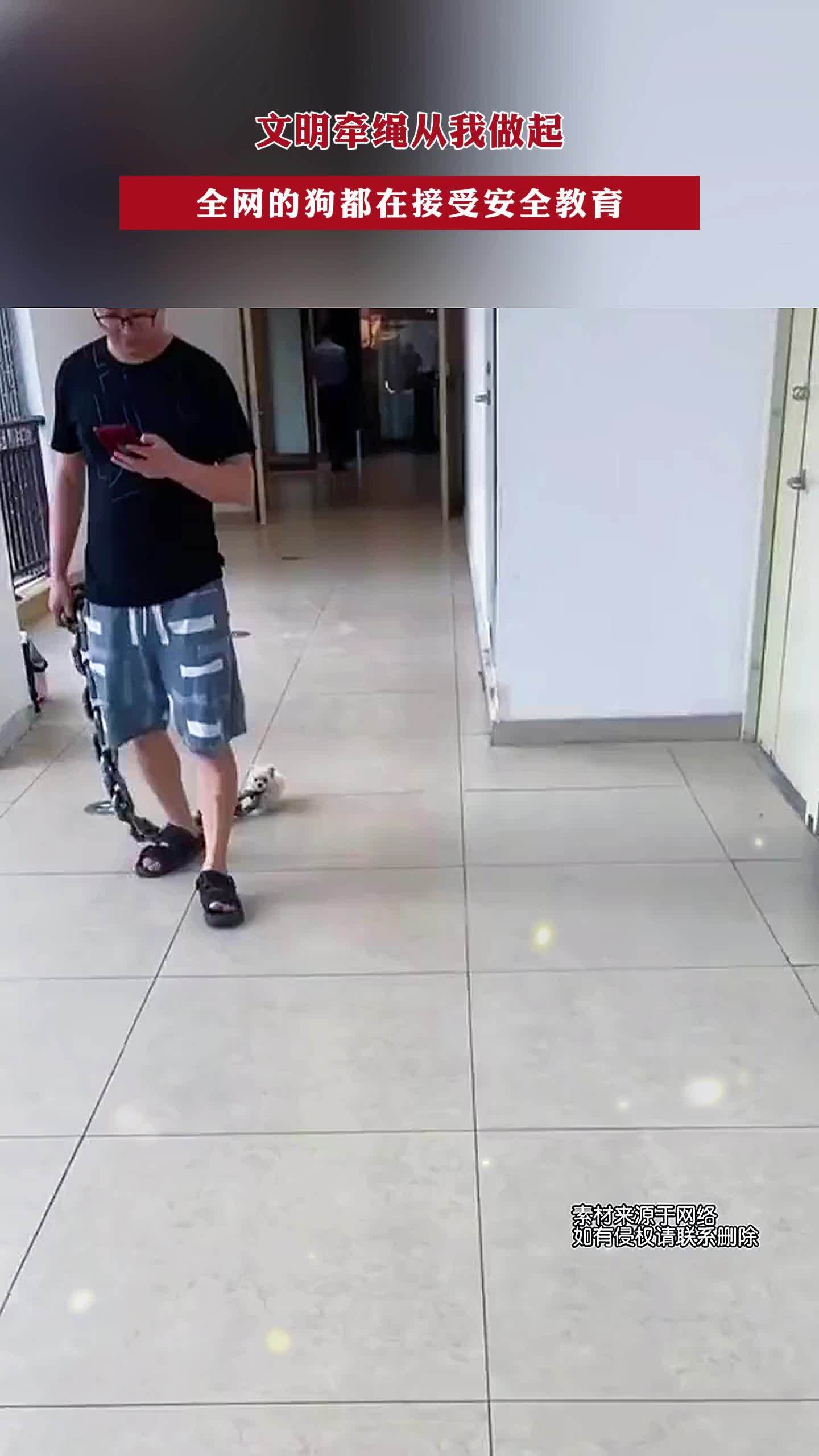 文明牵绳从我做起,全网的狗都在接受安全教育
