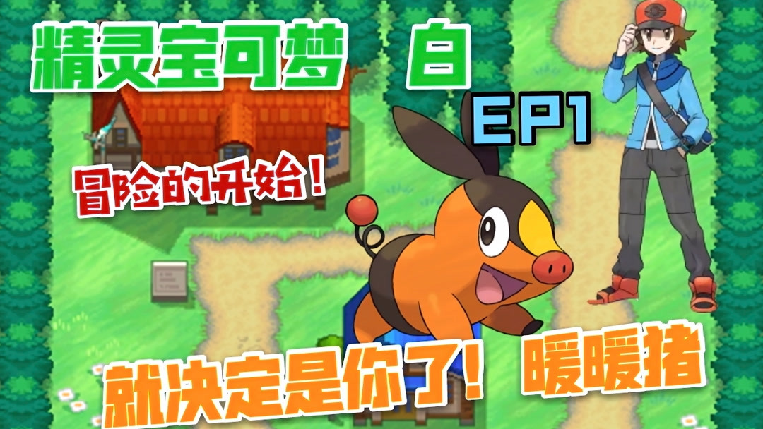 【小姚】精灵宝可梦白剧情解说EP1,就决定是你了!暖暖猪