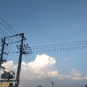 网友小吴555 