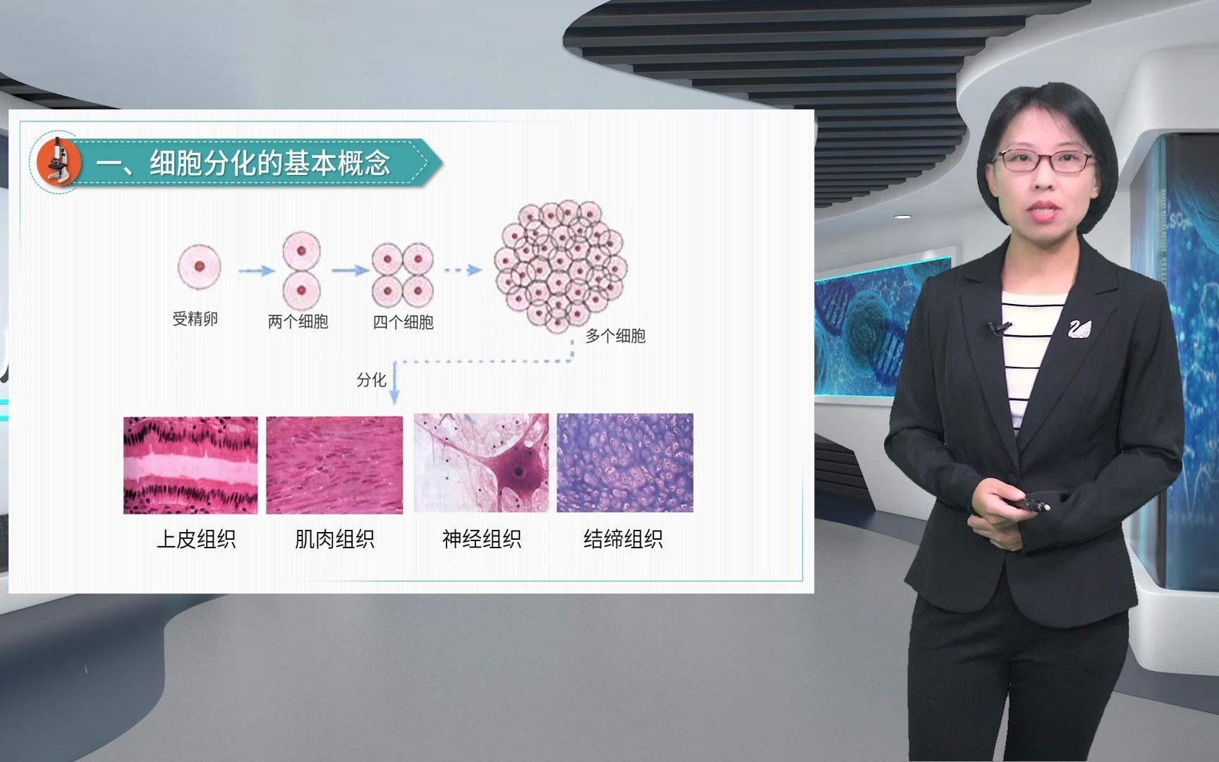 15.1细胞分化_细胞生物学_崔继红