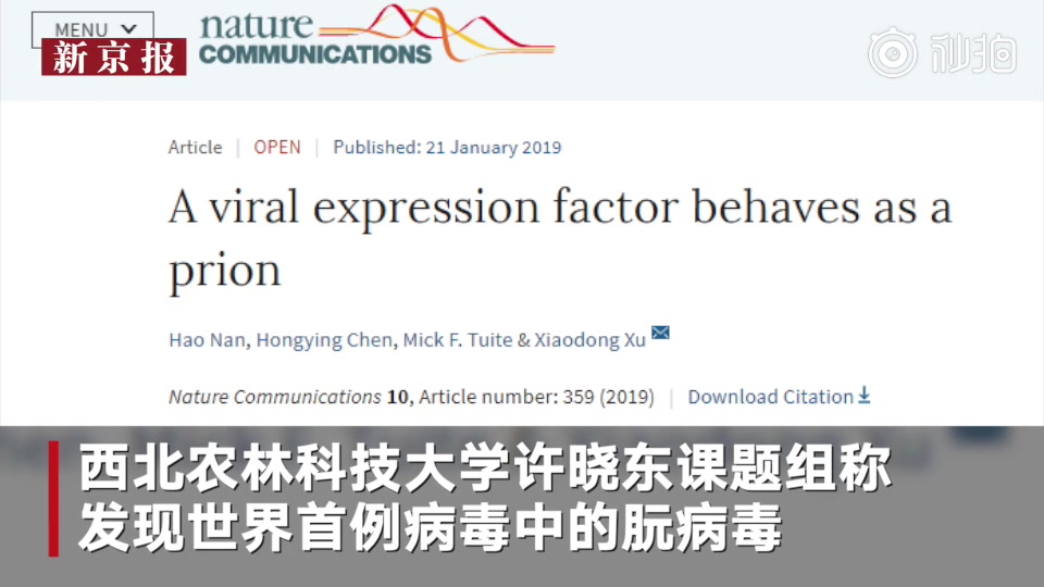 中国科学家发现世界首例病毒中的朊病毒