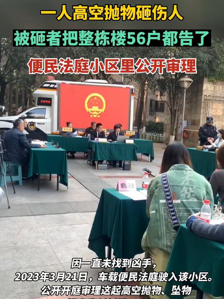 ...高空抛物砸伤人,被砸者把整栋楼56户都告了,便民法庭小区里公开审理