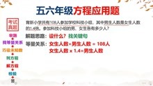 课后辅导,五六年级数学—方程应用题3