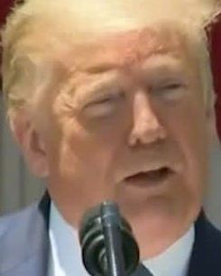 ...美国于1月11日已经开始研发新冠病毒疫苗。特朗普的话音刚落,引起...