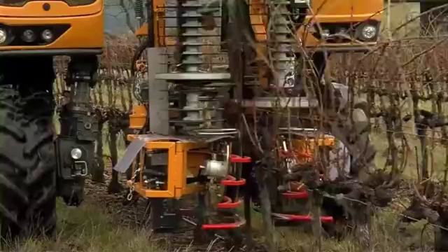 国外研发的自动化果树管理机械,科技改变农业!