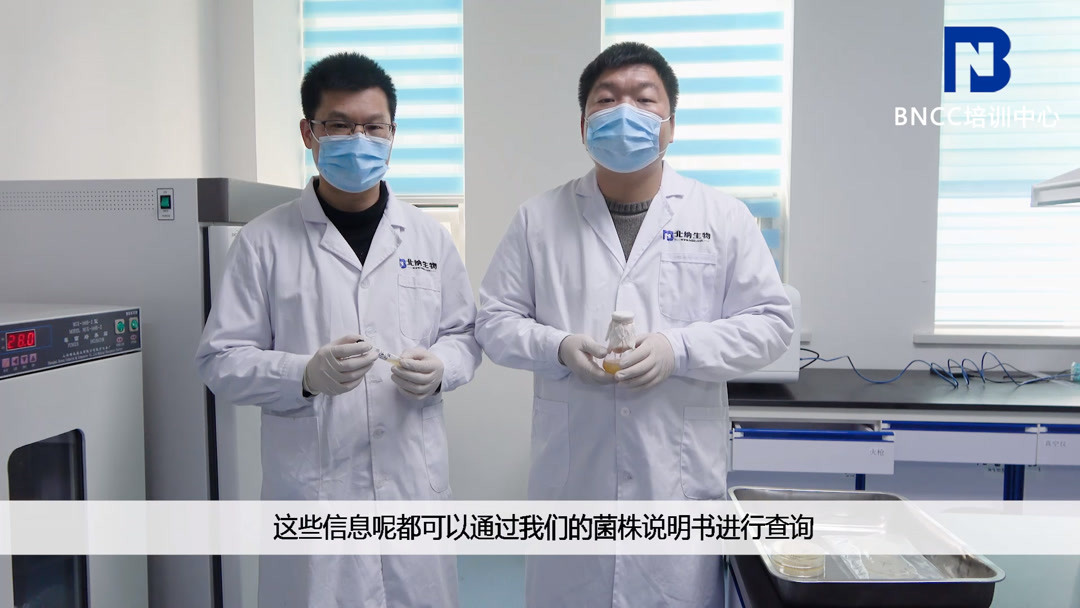 BNCC培训中心 《好氧与兼性厌氧细菌的培养》
