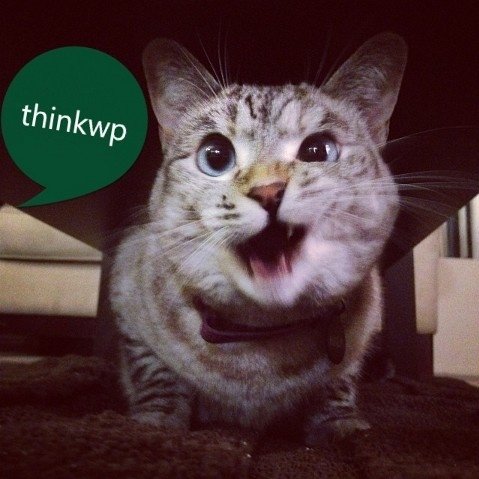 ThinkWP 