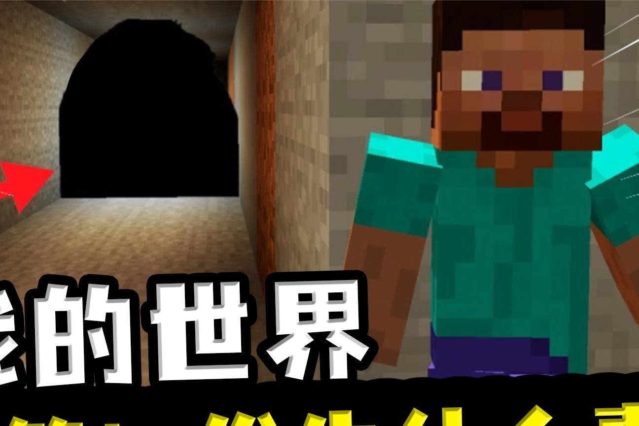 我的世界:当MC的铁傀儡穿鞘翅会怎样?玩家都的佩服的五体投地