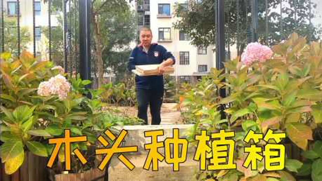 邻居家扔了4块木板,老刘拿回家,简单方法打造成种植箱花箱