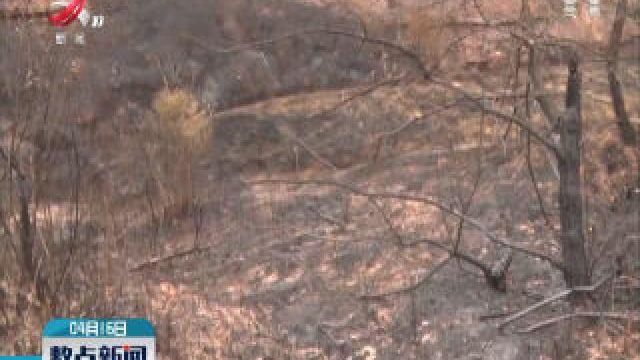 铅山:森林公安迅速侦破一起山火案件