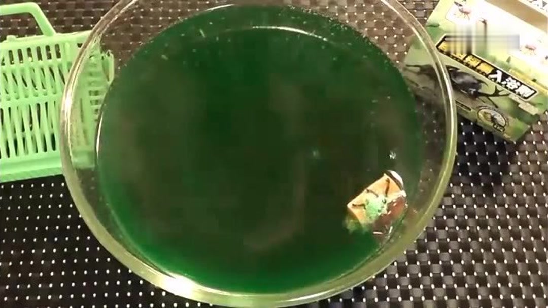 独角仙的包装让人一脸懵逼,放水里融化了才能生长出来!