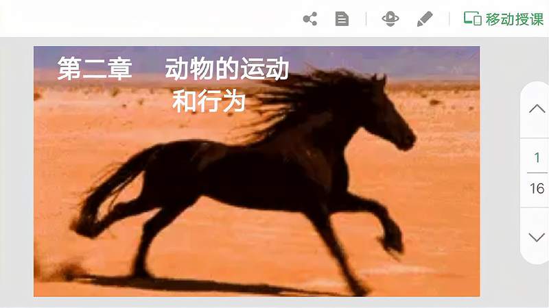 八上生物第五单元第二章第一节动物的运动