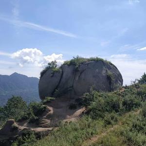 洛宁易典通 