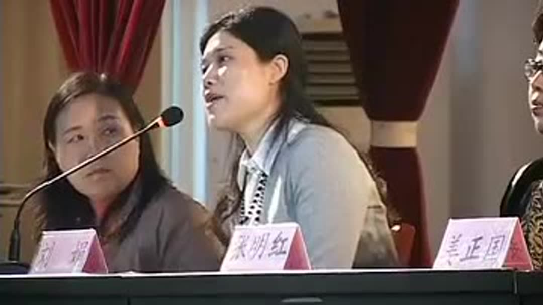 开幕式(第四届湘沪两地名师多元整合幼儿园教育活动研讨会)