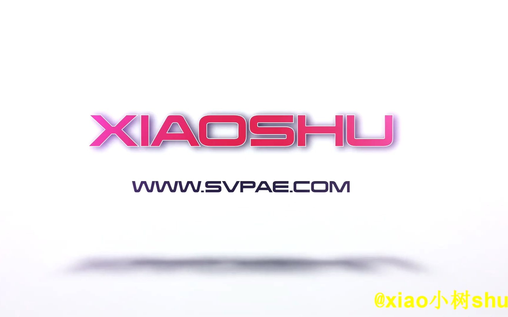 Vegas 10/12 模板 - 水墨流体logo演绎动画模版附使用教程