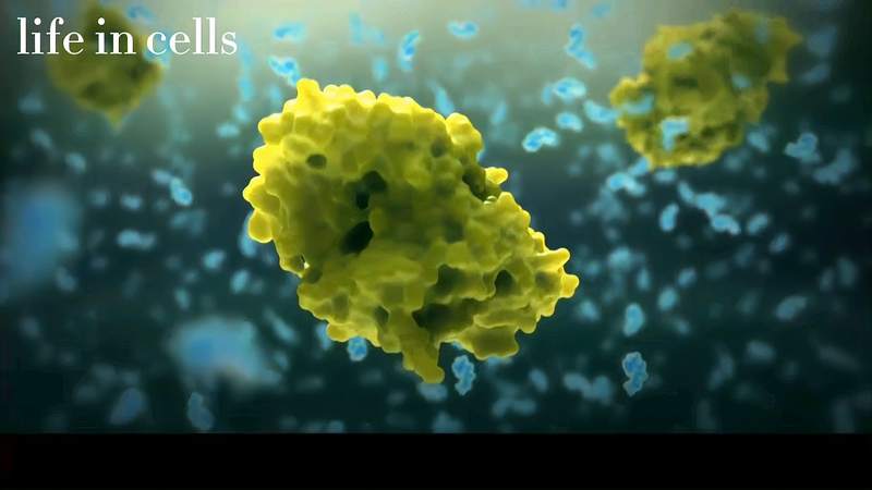 好看的细胞艺术动画