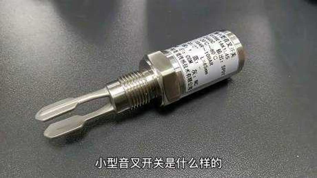 「佑富」分享小型音叉式物位开关的特点,测量物液位的小型传感器