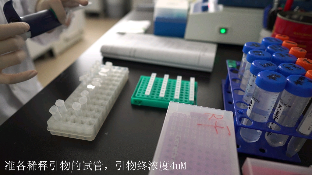 你真的需要学会qPCR