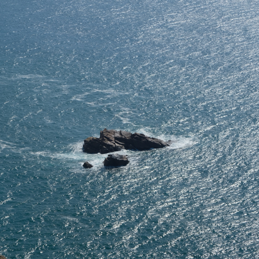 观潮数学周毅博 