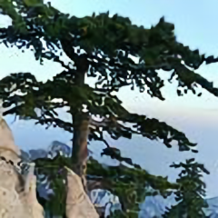 射雕之华山论剑 