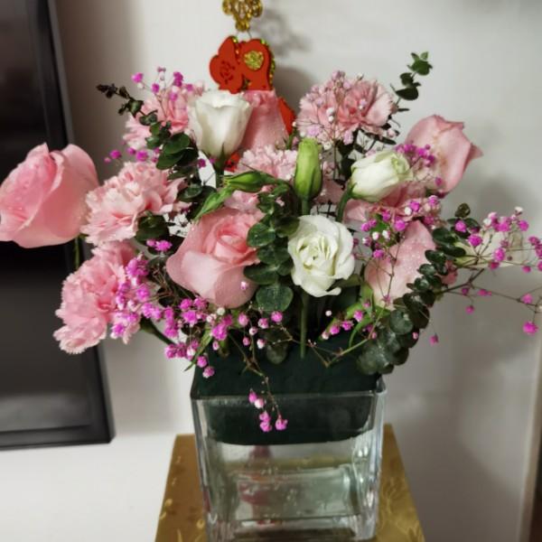 黑暗的蟠桃i 
