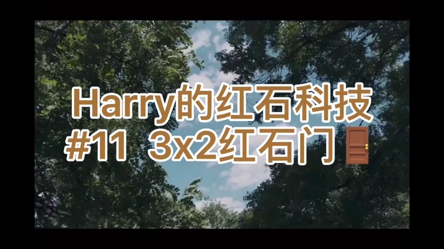 MC Harry的红石科技#10:新手就会的红石门,可以升级成8✘2的
