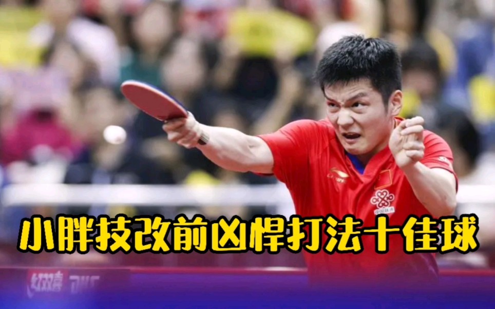 【未技改小胖的凶悍打法十佳球】来看看暴力“小”熊猫樊振东的凶猛...